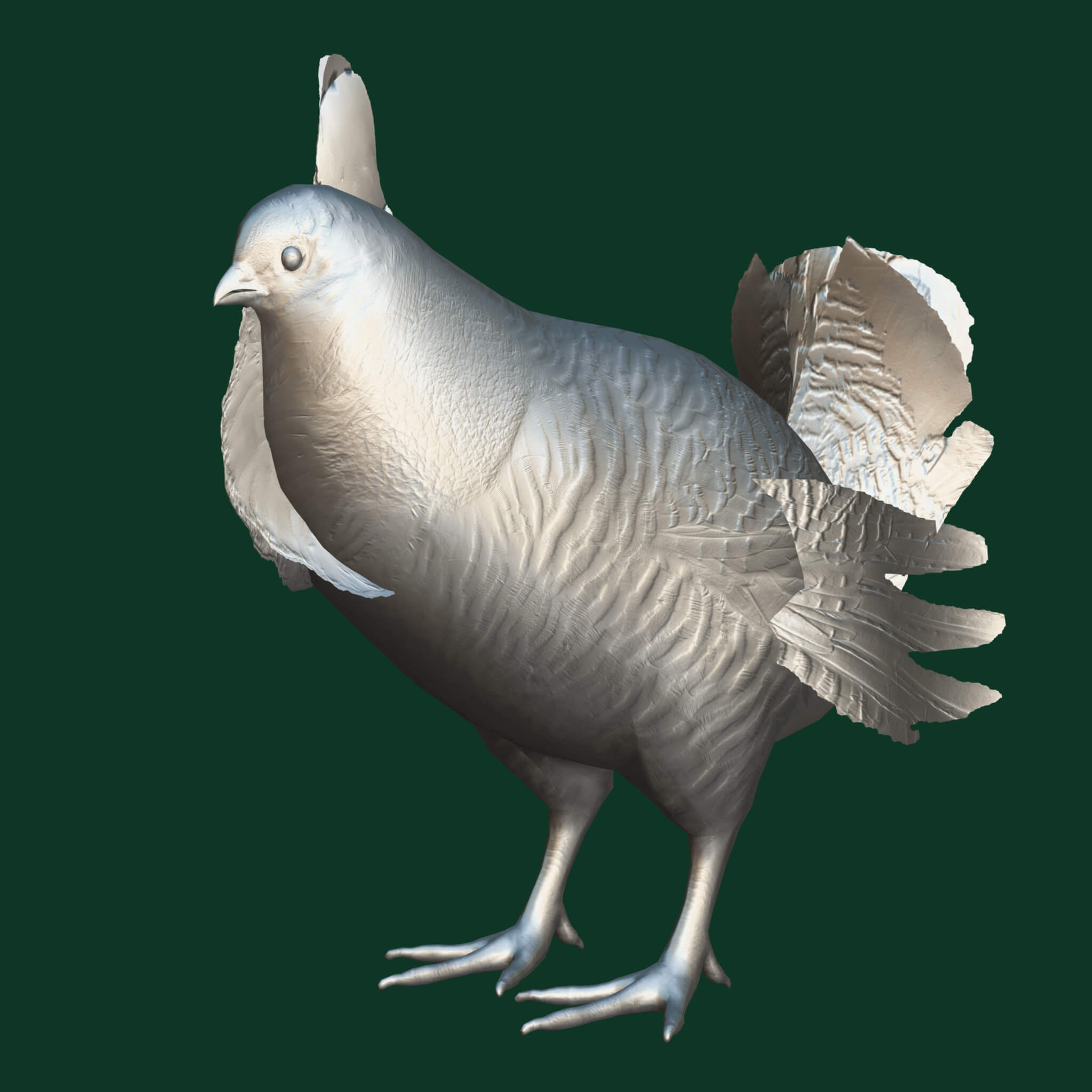 Attwater's Prairie Chicken Birds - 3D Model by Nyilonelycompany