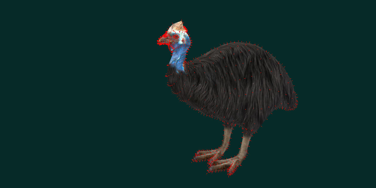 Australian Cassowary Flightless Black Bird - 3D Model by Nyilonelycompany