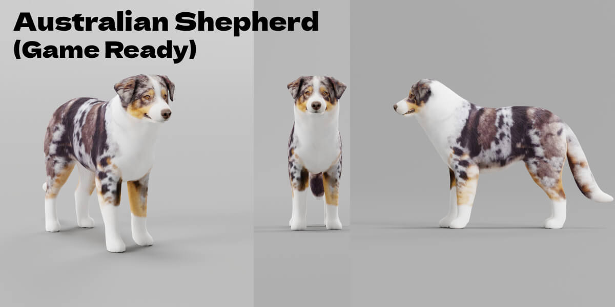 Australian Shepherd Dog - 3D Model by Nyilonelycompany