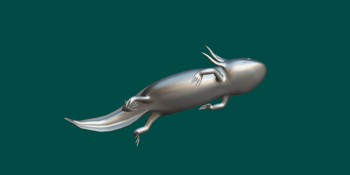 Axolotl Anmals - 3D Model by Nyilonelycompany