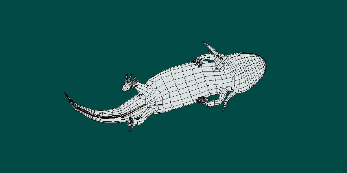 Axolotl Anmals - 3D Model by Nyilonelycompany