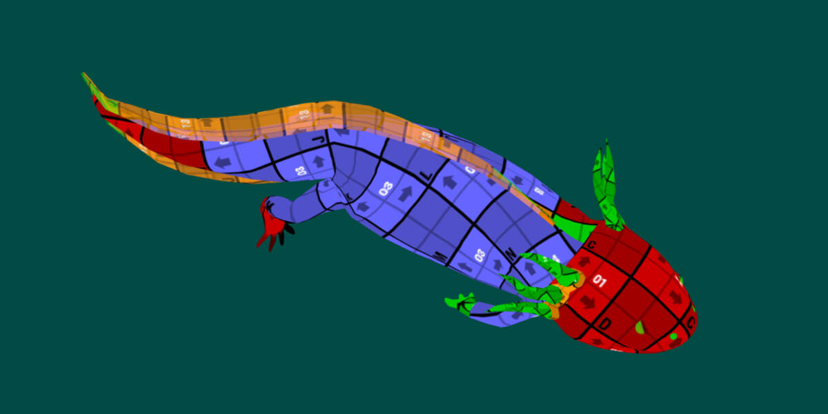 Axolotl Anmals - 3D Model by Nyilonelycompany