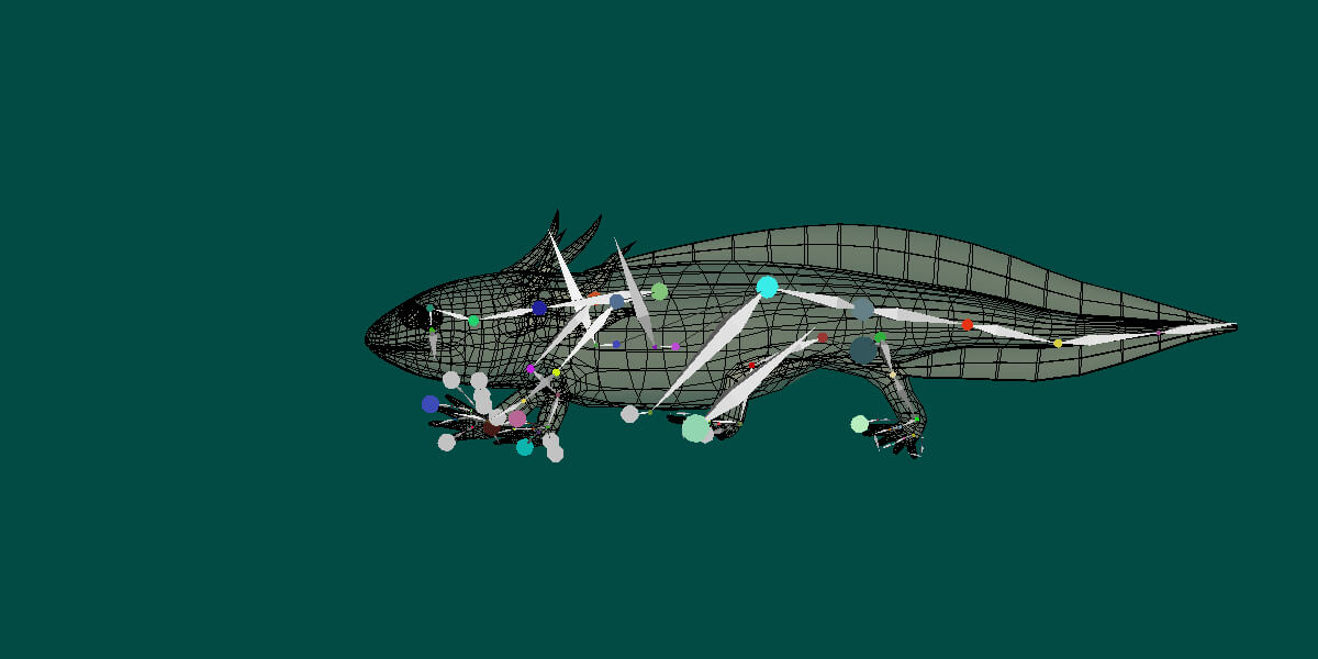 Axolotl Anmals - 3D Model by Nyilonelycompany