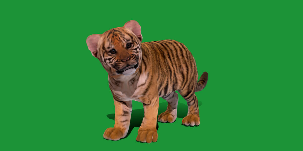 Baby Tiger Cub - 3D Model by Nyilonelycompany