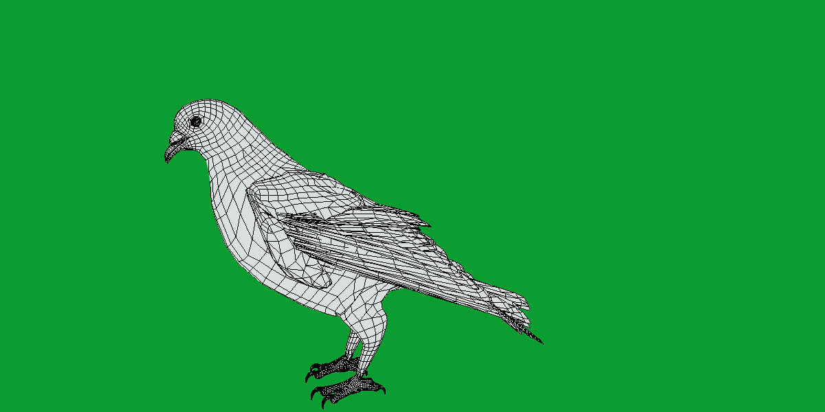 Barbary White Dove - 3D Model by Nyilonelycompany