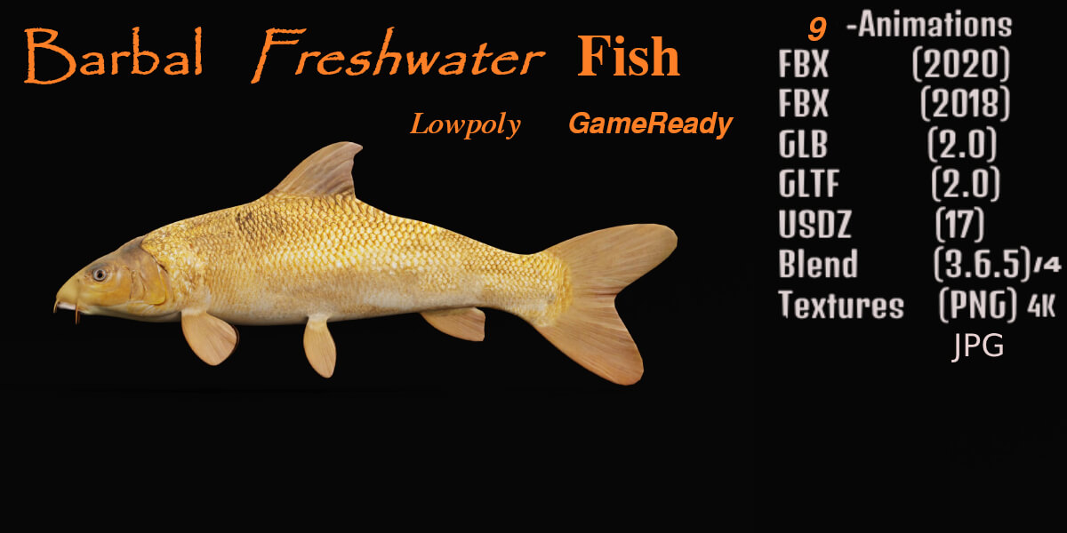 Barbel Barbus Freshwater Fish - 3D Model by Nyilonelycompany