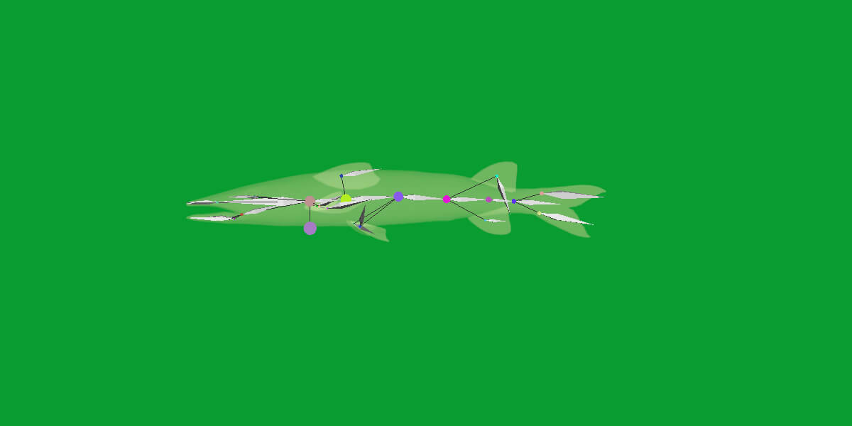 Barracuda Fish - 3D Model by Nyilonelycompany