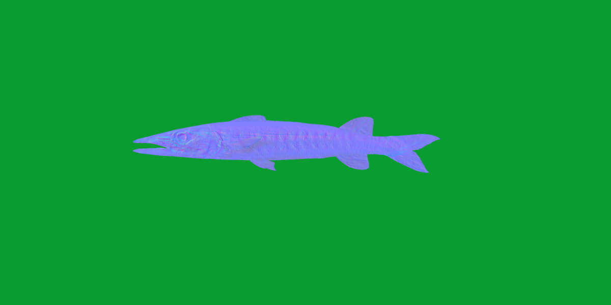 Barracuda Fish - 3D Model by Nyilonelycompany