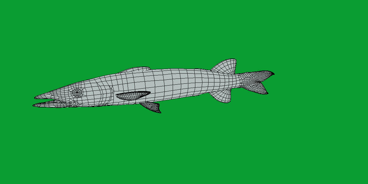 Barracuda Fish - 3D Model by Nyilonelycompany