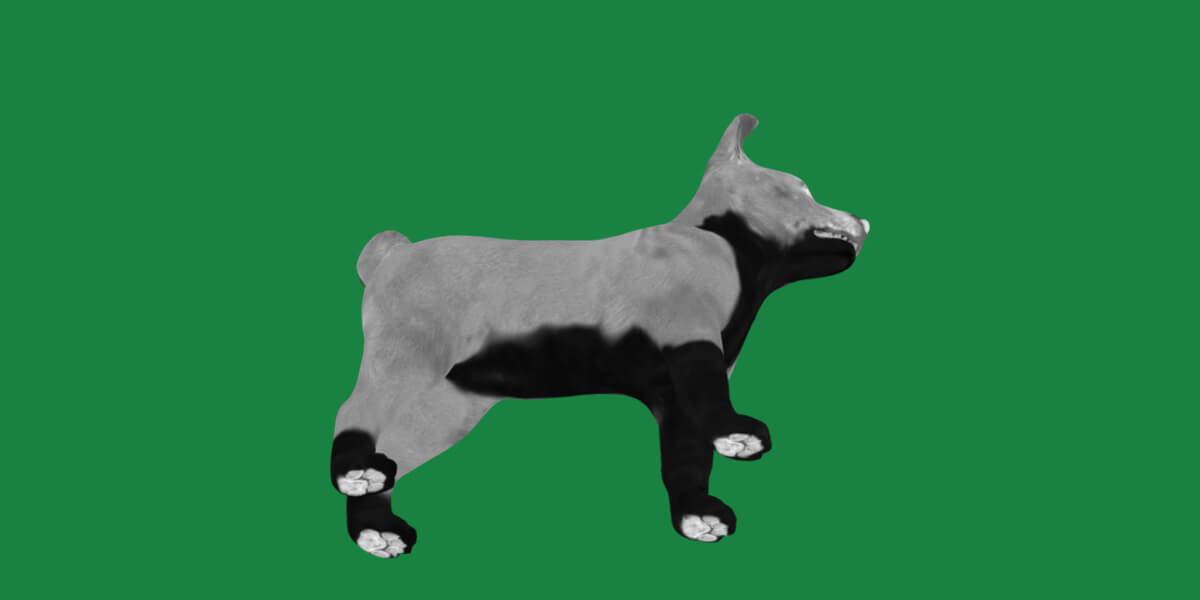 Basenji Puppy Dog - 3D Model by Nyilonelycompany