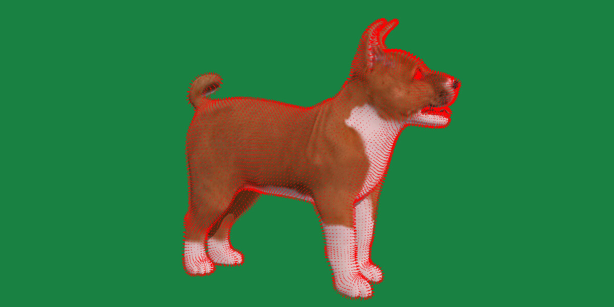 Basenji Puppy Dog - 3D Model by Nyilonelycompany