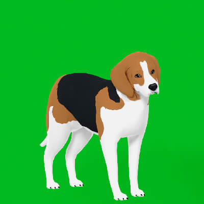 Beagle Stylized Dog - 3D Model by Nyilonelycompany