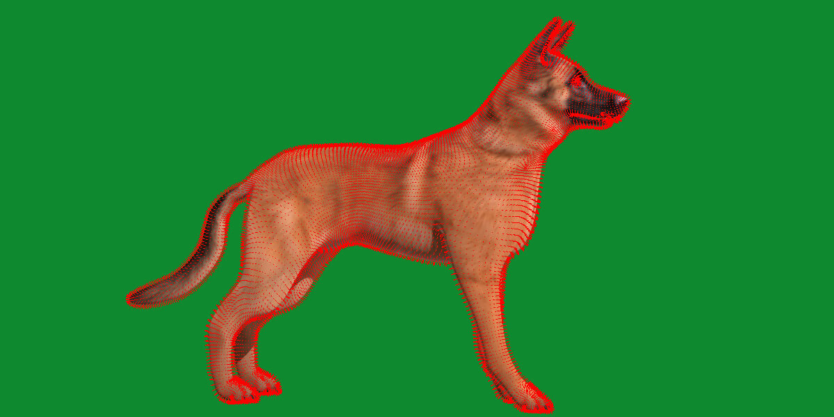 Belgian Malinois Young Dog - 3D Model by Nyilonelycompany