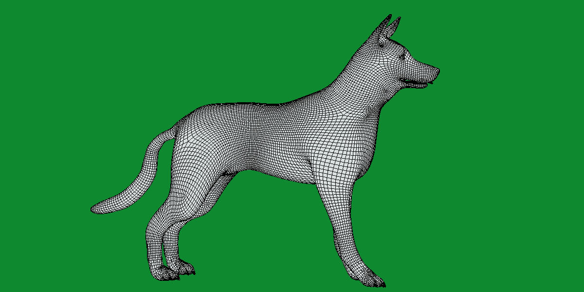 Belgian Malinois Young Dog - 3D Model by Nyilonelycompany