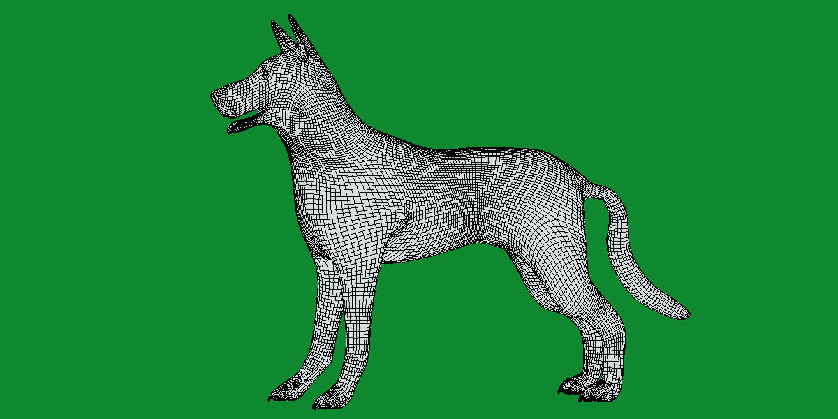 Belgian Malinois Young Dog - 3D Model by Nyilonelycompany