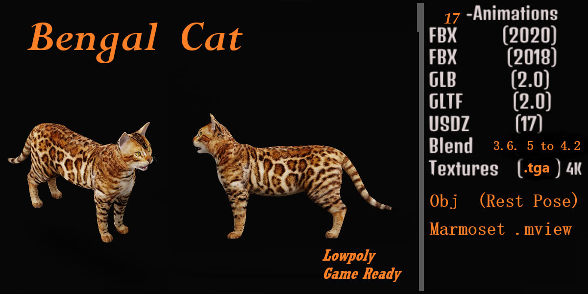 Bengal Domestic Cat - 3D Model by Nyilonelycompany