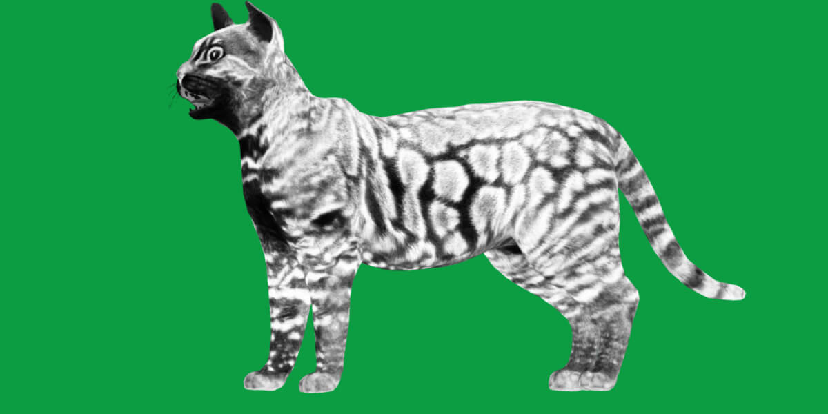 Bengal Domestic Cat - 3D Model by Nyilonelycompany