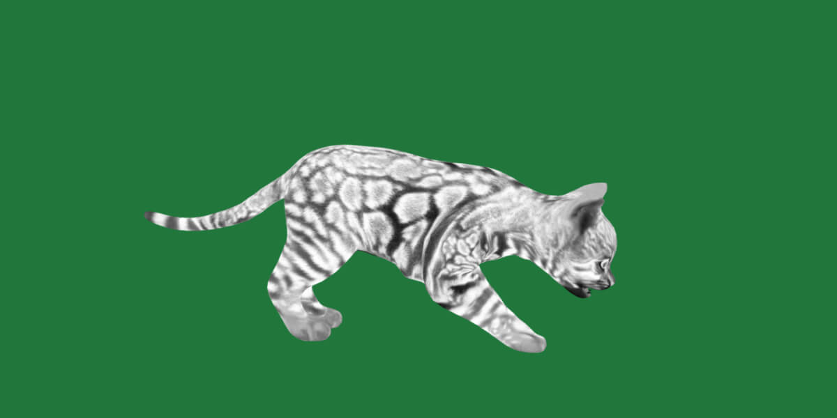 Bengal Kitten Cat - 3D Model by Nyilonelycompany