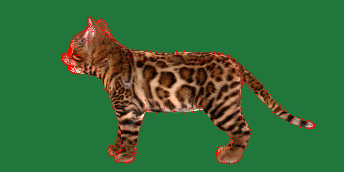 Bengal Kitten Cat - 3D Model by Nyilonelycompany