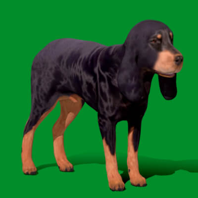 Black and Tan Coonhound Dog - 3D Model by Nyilonelycompany