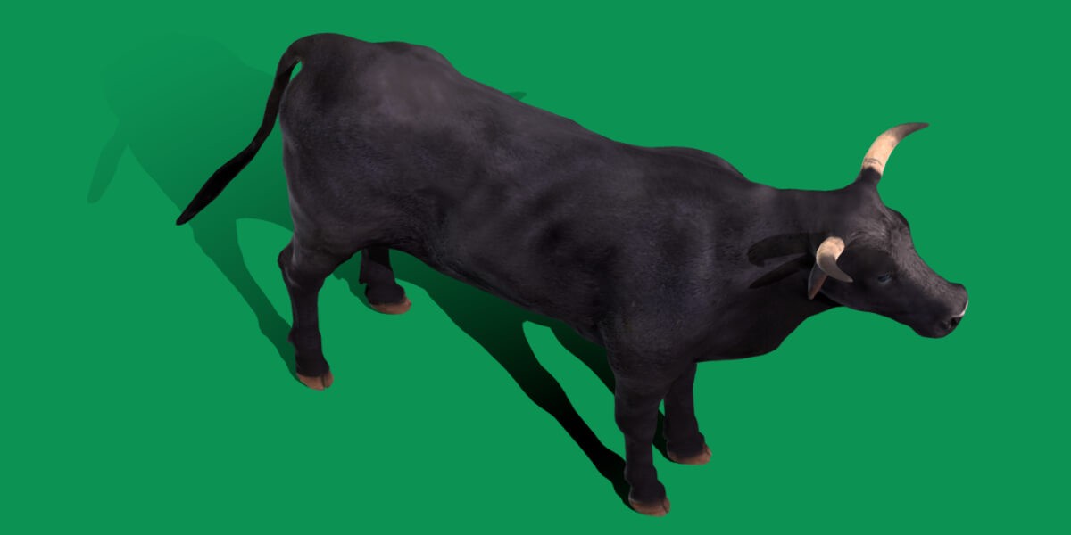 Black Bull Cattle - 3D Model by Nyilonelycompany