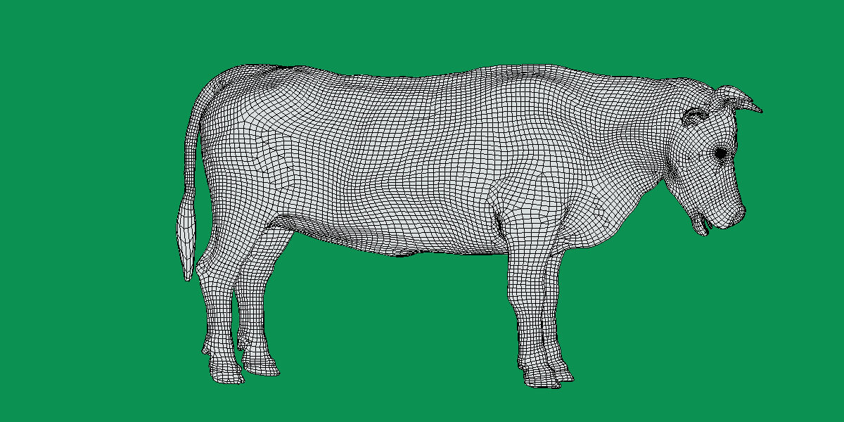 Black Bull Cattle - 3D Model by Nyilonelycompany