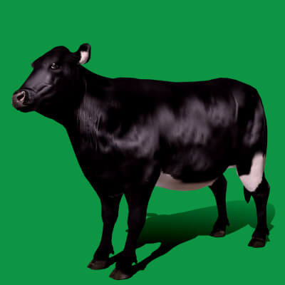 Glb 3D Models | Animals | Cows | RenderHub