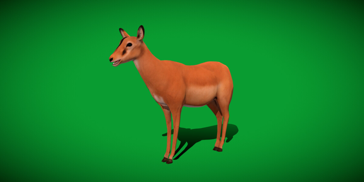 Black Faced Impala - 3D Model by Nyilonelycompany