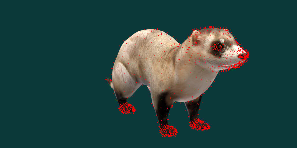 Black-Footed Ferret Endangered Animal 3D Model by Nyilonelycompany