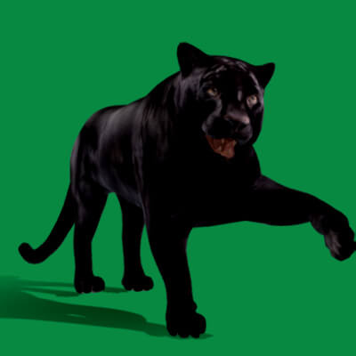 Glb 3D Models | Animals | RenderHub