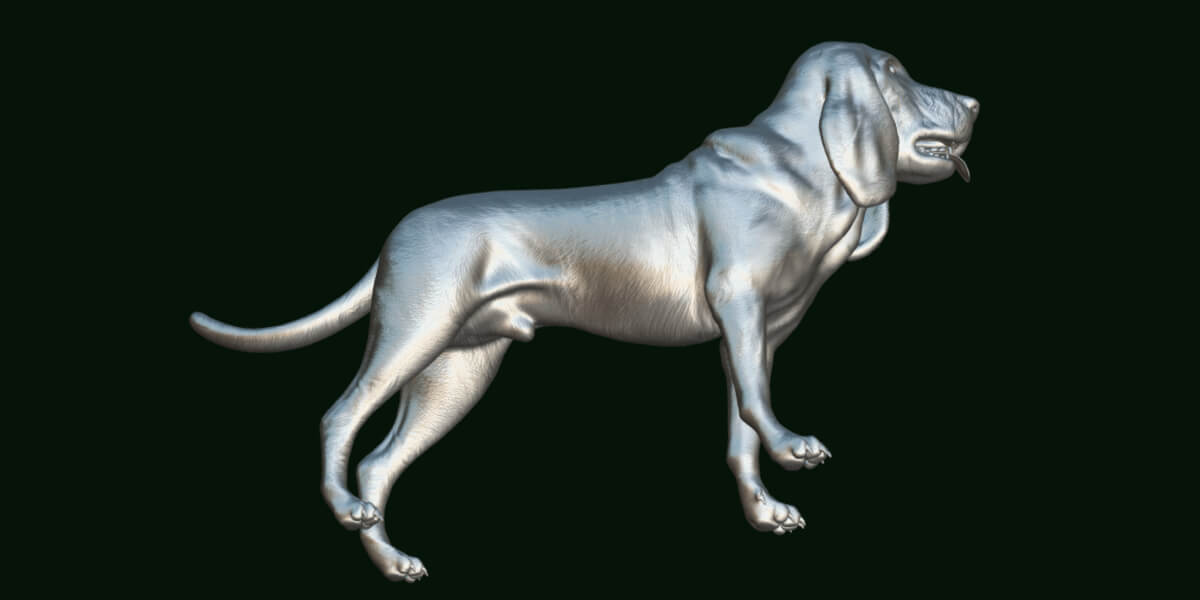 Bloodhound Dog Breed - 3D Model by Nyilonelycompany
