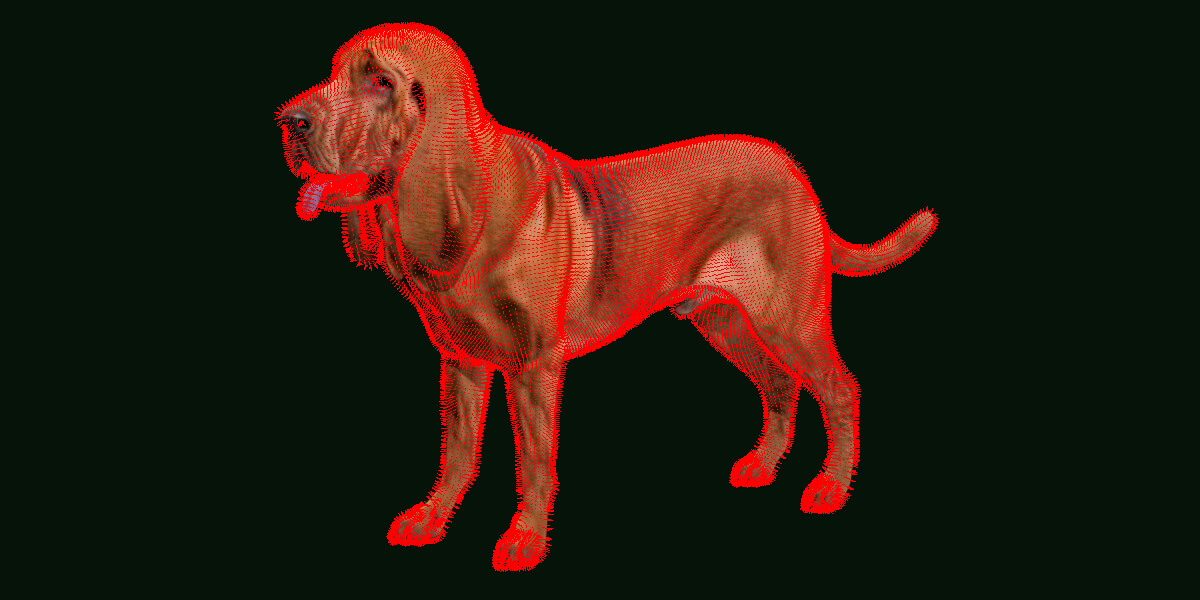 Bloodhound Dog Breed - 3D Model by Nyilonelycompany