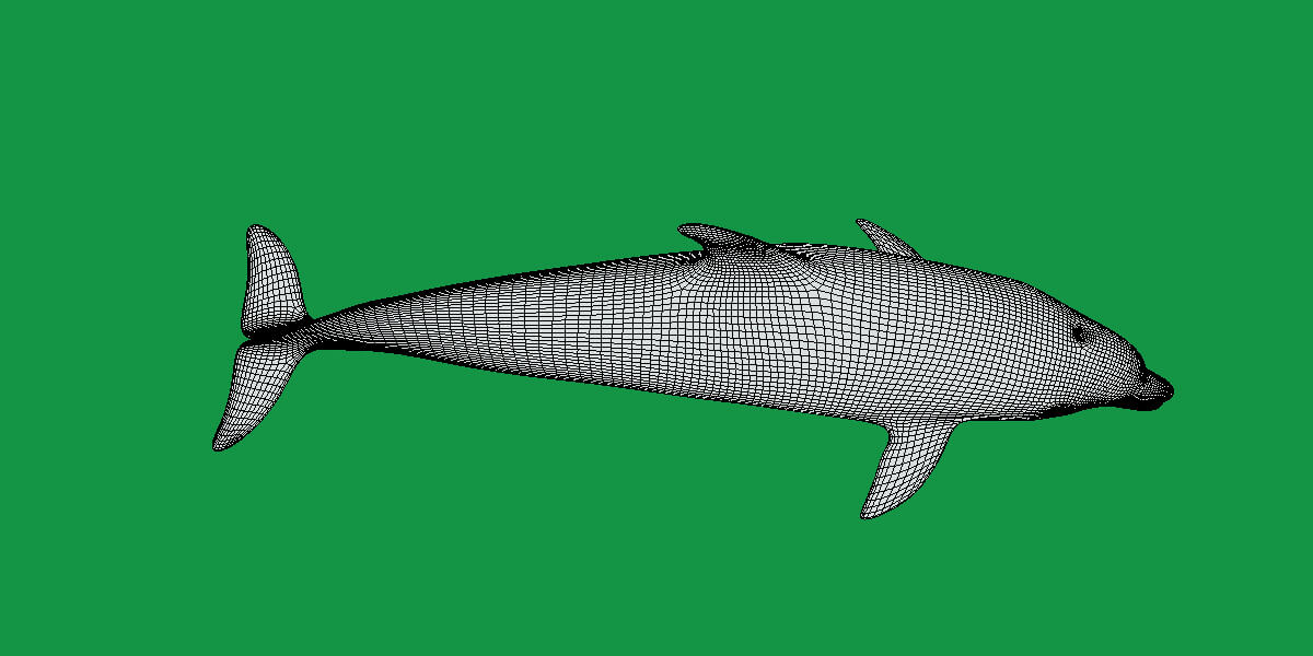 Bottlenose Dolphin - 3D Model by Nyilonelycompany