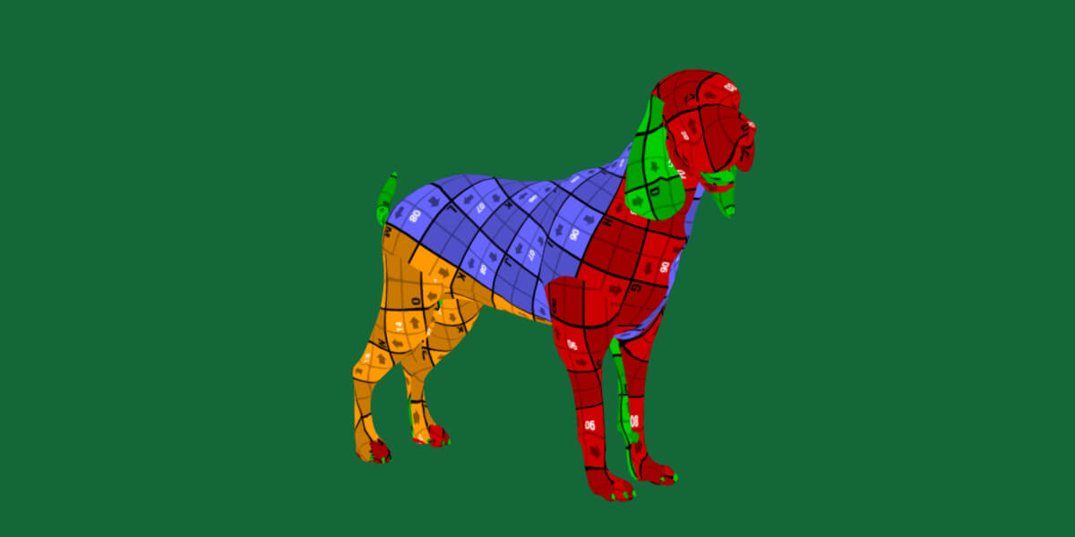 Bracco Italiano Dog - 3D Model by Nyilonelycompany