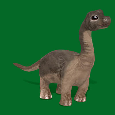 Brachiosaurus Baby Dinosaur - 3D Model by Nyilonelycompany