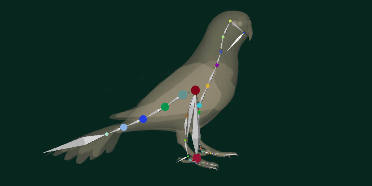 Budgerigar Budgie Bird - 3D Model by Nyilonelycompany