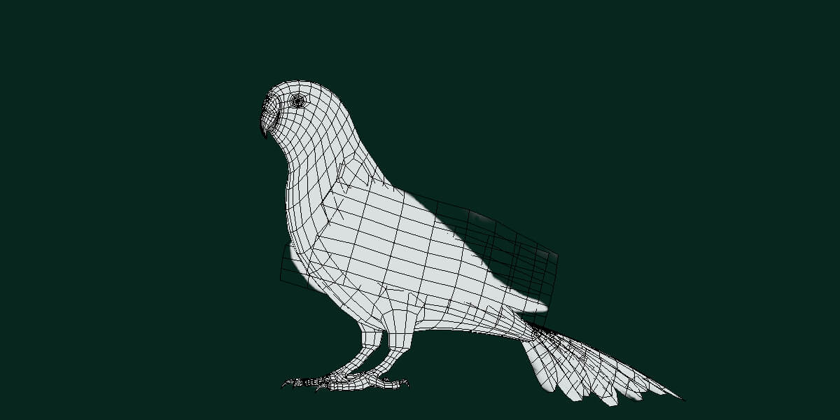 Budgerigar Budgie Bird - 3D Model by Nyilonelycompany