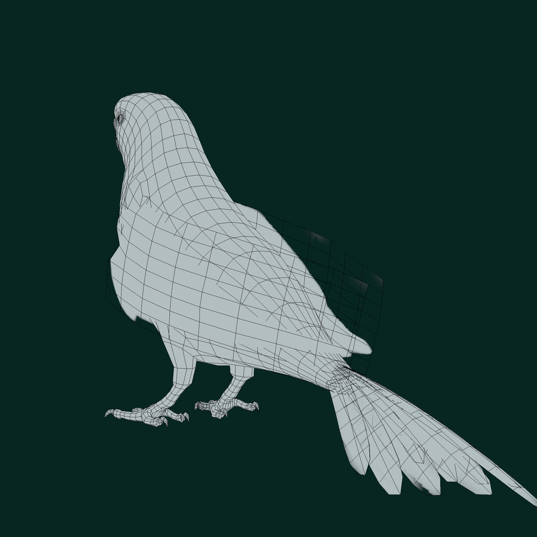 Budgerigar Budgie Bird - 3D Model by Nyilonelycompany