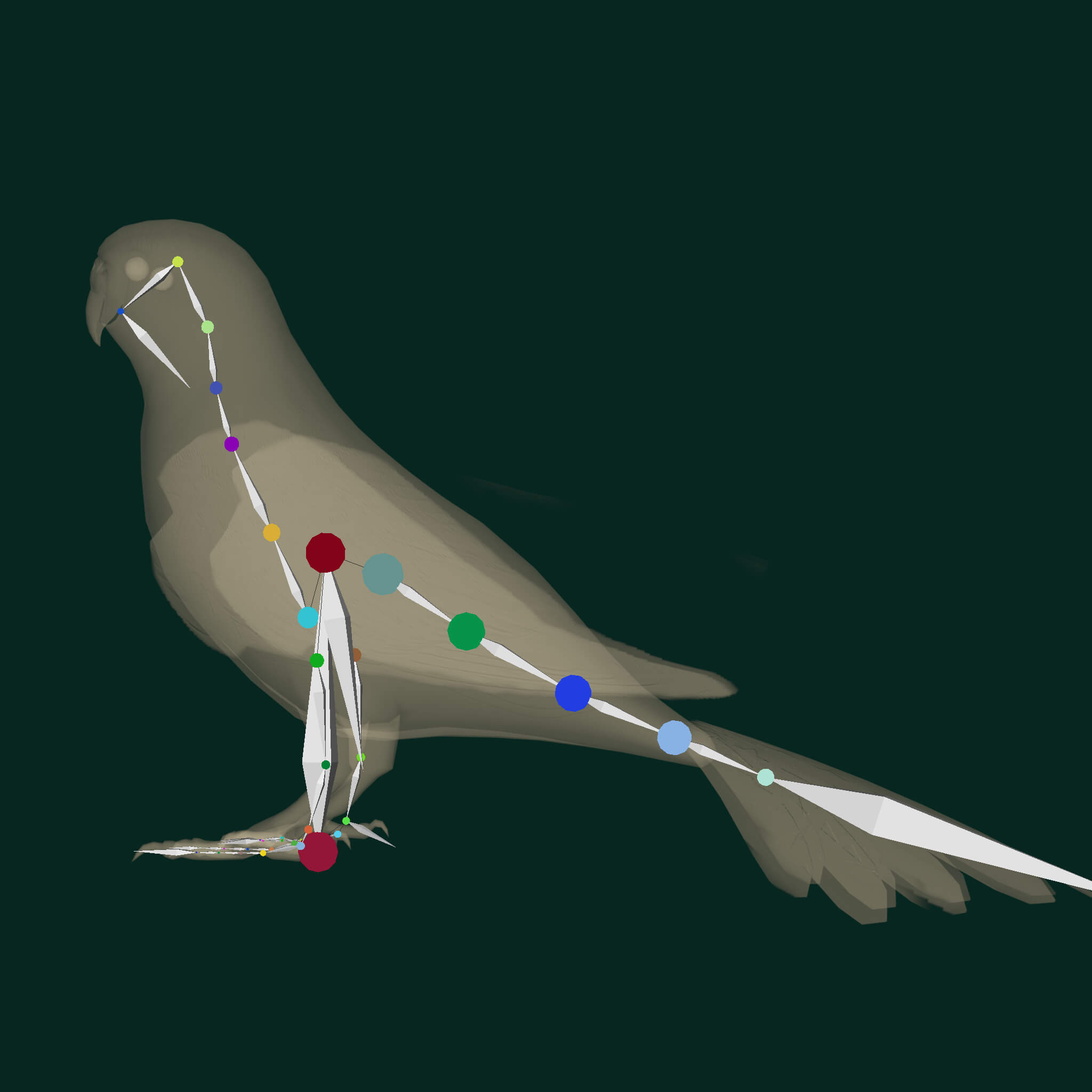 Budgerigar Budgie Bird - 3D Model by Nyilonelycompany