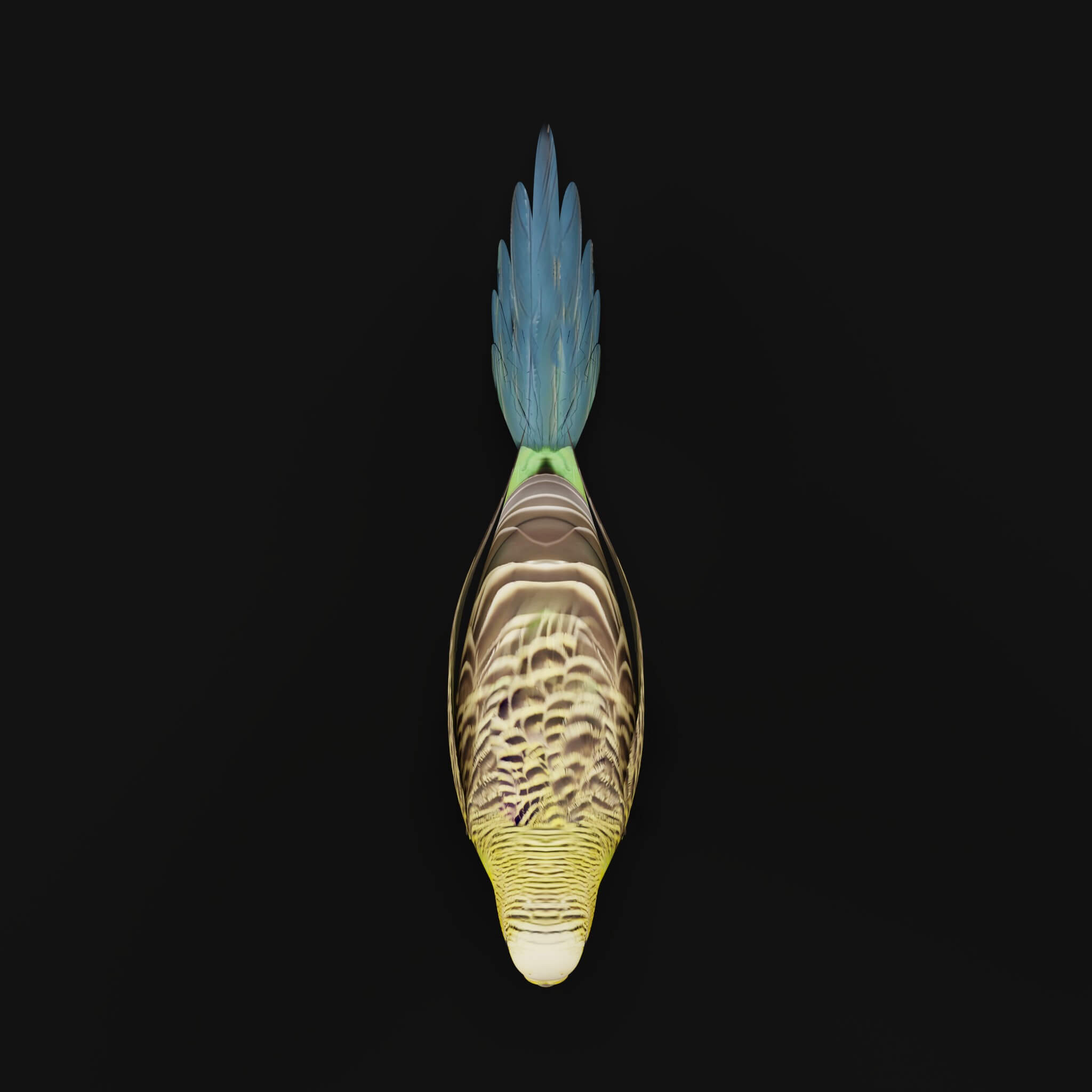 Budgerigar Budgie Bird - 3D Model by Nyilonelycompany