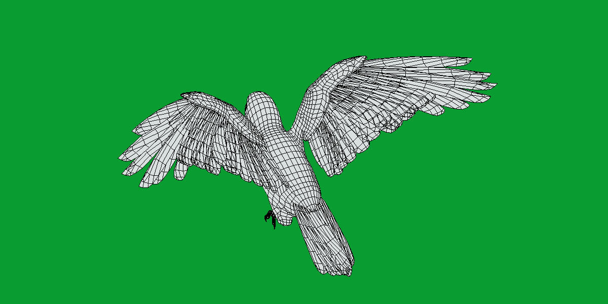 Budgie Parakeet Parrot - 3D Model by Nyilonelycompany