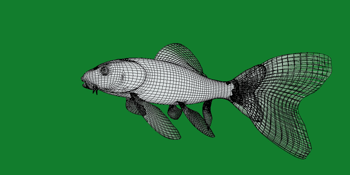 Butterfly Koi Carp Fish - 3D Model by Nyilonelycompany