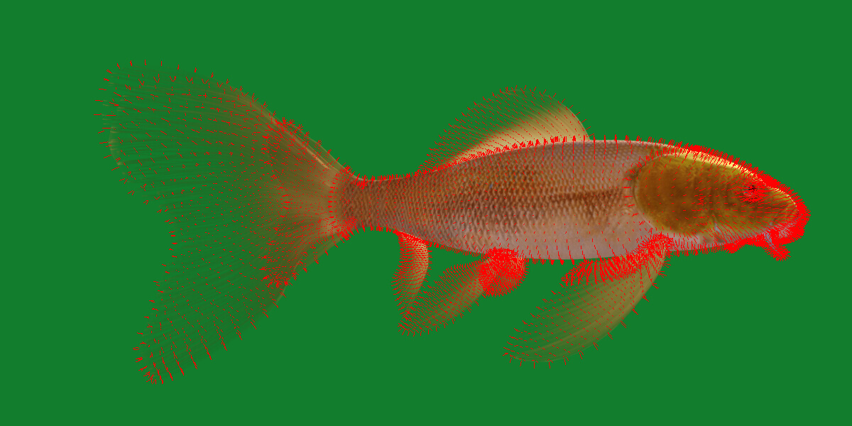 Butterfly Koi Carp Fish - 3D Model by Nyilonelycompany