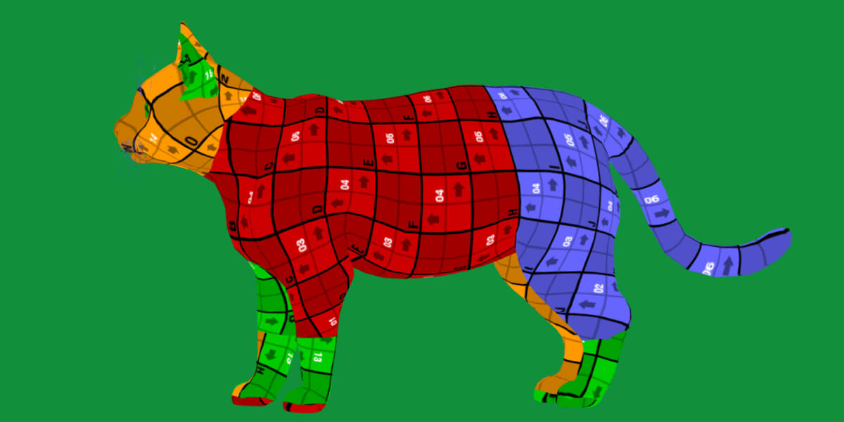 Calico Tricolor Cat - 3D Model by Nyilonelycompany