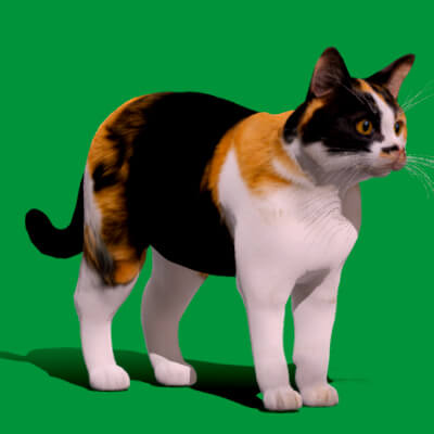 Gltf 3D Models | Animals | Cats | RenderHub