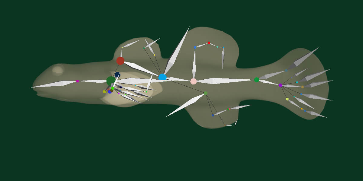 Candy Darter Fish - 3D Model by Nyilonelycompany