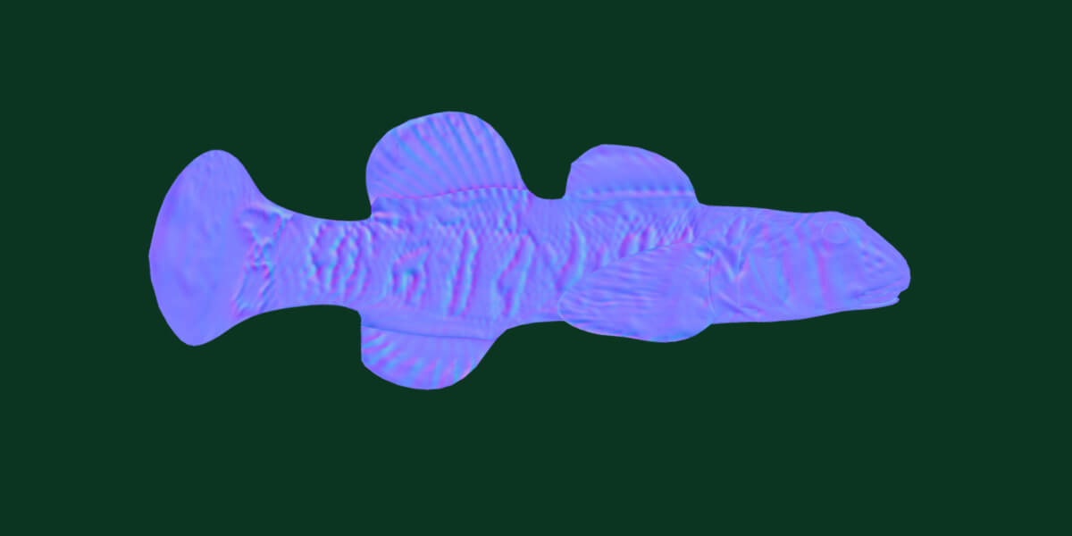 Candy Darter Fish - 3D Model by Nyilonelycompany