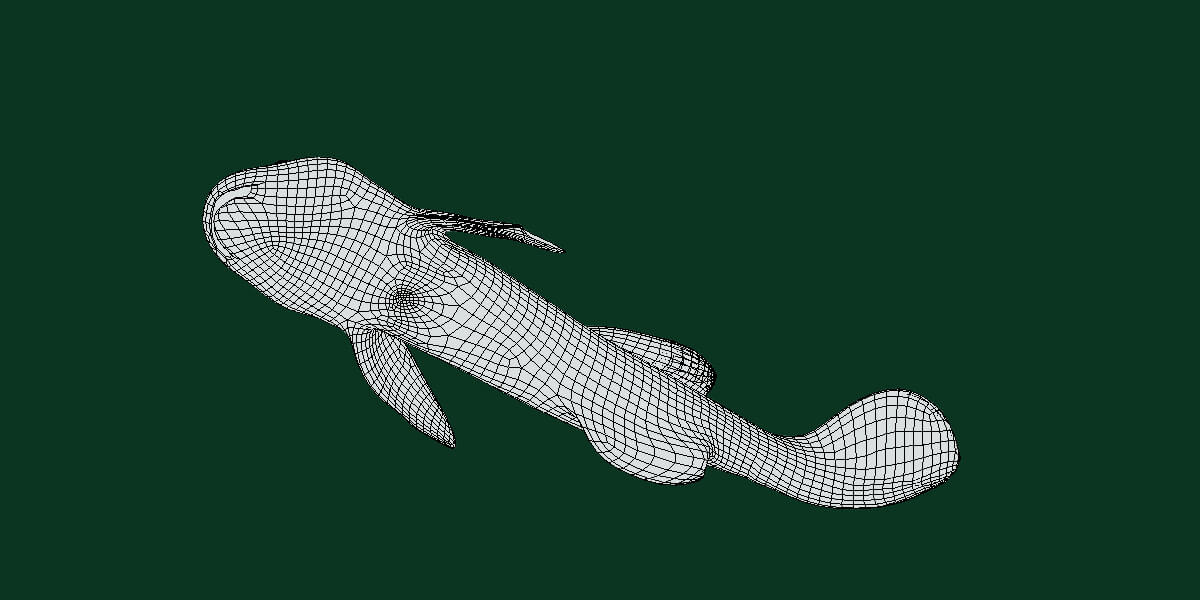 Candy Darter Fish - 3D Model by Nyilonelycompany