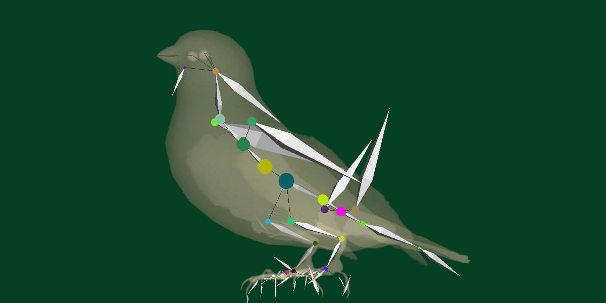 Cape Robin Chat Bird - 3D Model by Nyilonelycompany