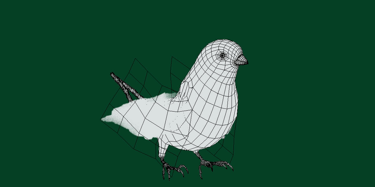 Cape Robin Chat Bird - 3D Model by Nyilonelycompany